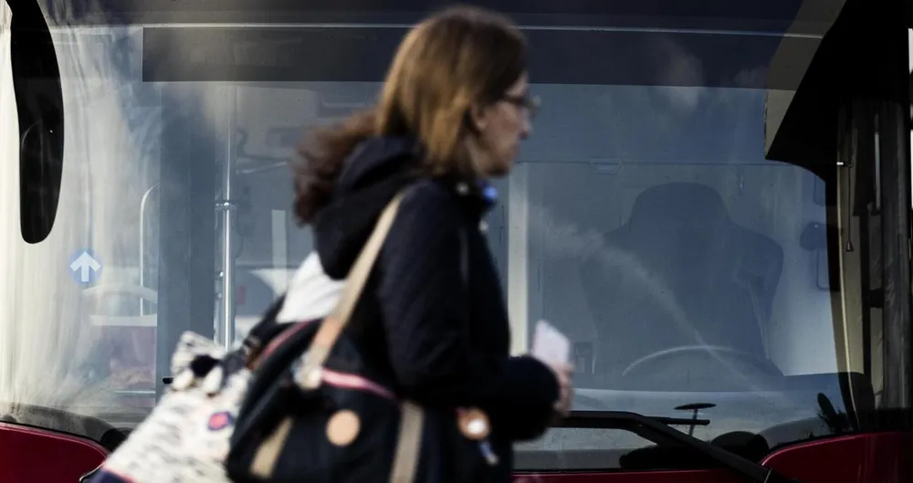 Le città sono progettate solo intorno alle necessità degli uomini | L ...